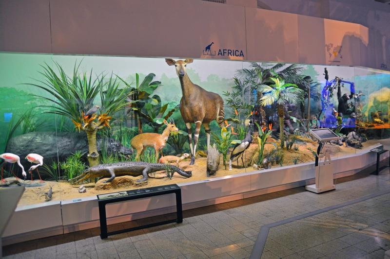 Lesson 1 • Using senses to observe | Primary Connections